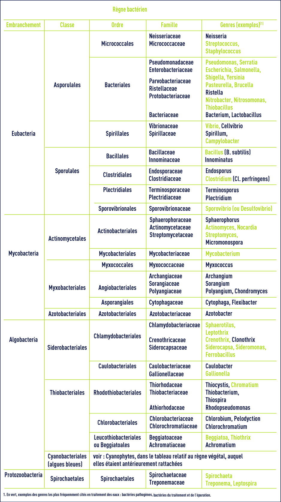 Règne bactérien - Degremont®