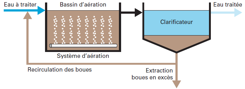 Cultures bactériennes aérobies - Degremont®