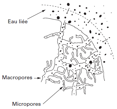 Traitement de l’eau - Adsorption Principaux adsorbants - Degremont®