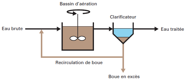 Types et configurations des réacteurs de boues activées - Degremont®