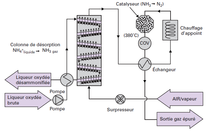 Le traitement de l’ammoniaque - Degremont®