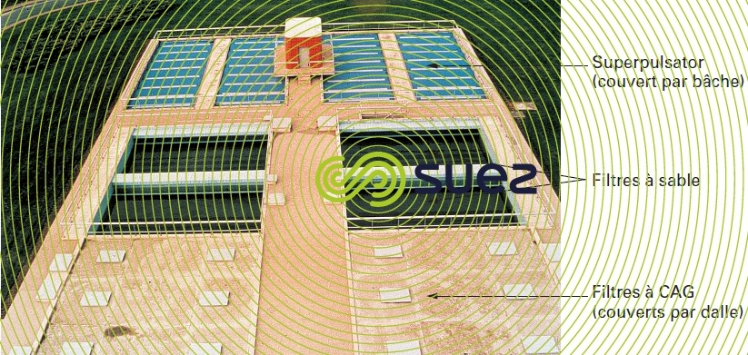 Traitement en eau potable : problèmes liés aux algues et au zooplancton ...